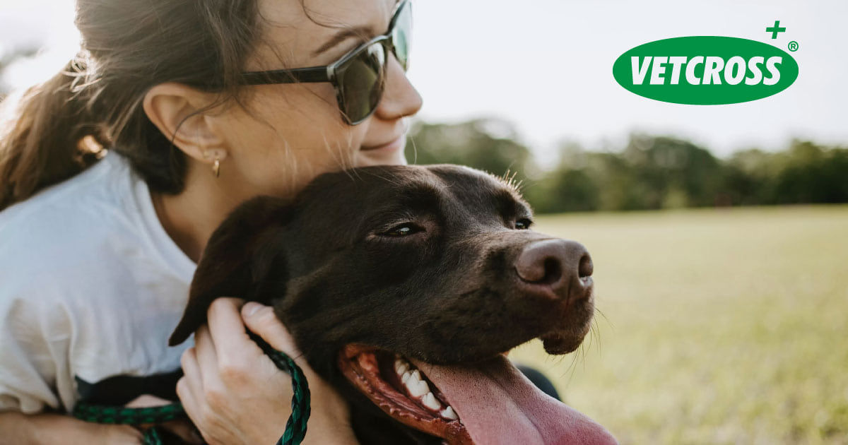 Nosotros — Vetcross • Laboratorio veterinario